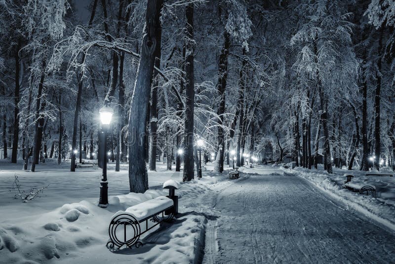 Winter Park at Night with Lights, Benches, Pavement Covered with Snow ...