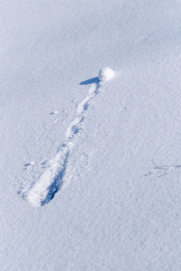 Winter in Park, Snow Fairy Tail Stock Image - Image of frost, covered ...