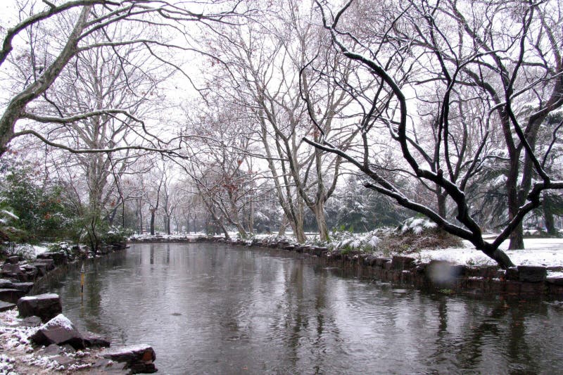 Winter Park with Snow and Pond Reflection. Stock Photo - Image of serene, seasonal: 356633192
