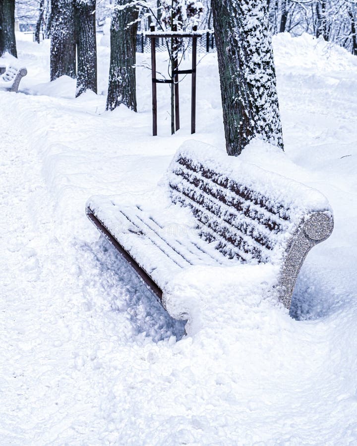 Winter Park with Trees and Pavement Covered with Snow after a Snowfall ...