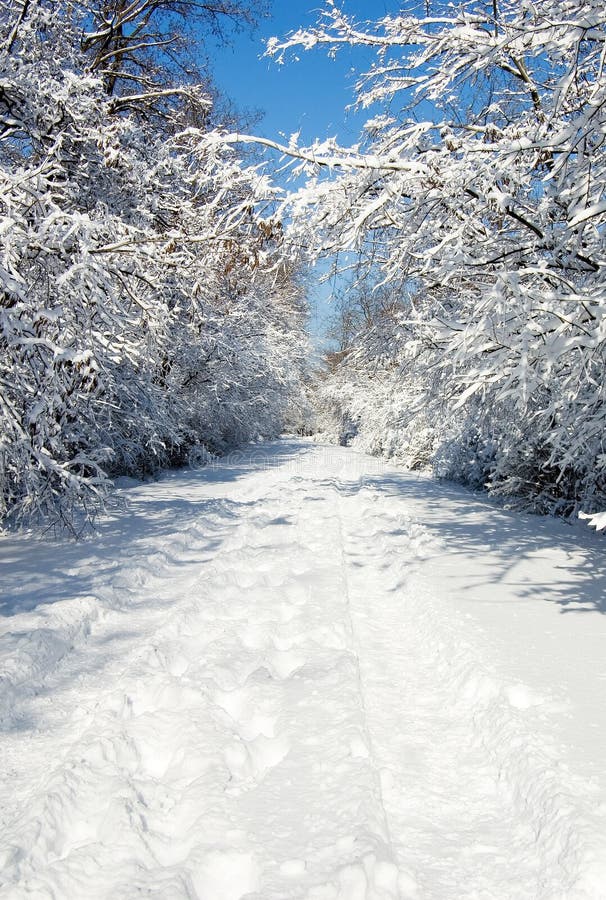Winter pass stock image. Image of bushes, freezing, natural - 12991353