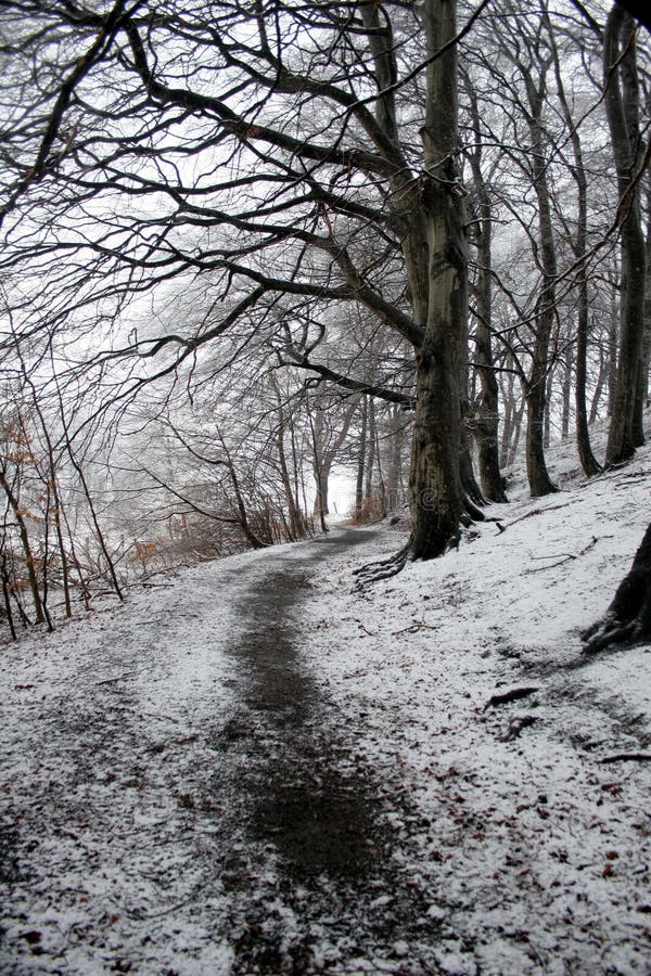 Winter path stock image. Image of cold, familly, tree - 1049873