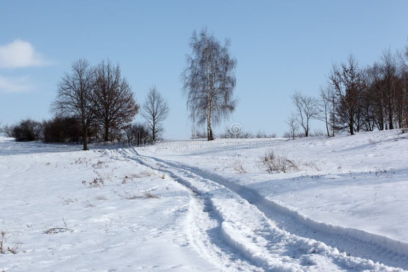Winter path stock image. Image of blue, freeze, blizzard - 13119917