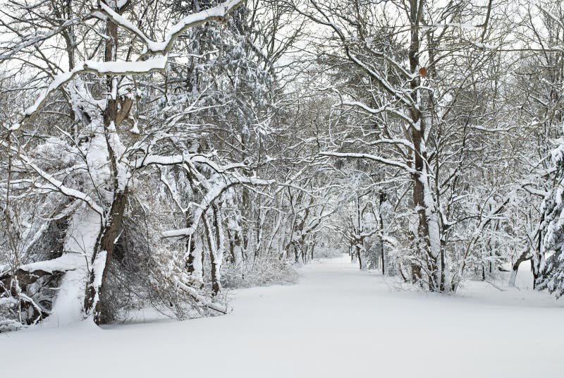 Winter Path stock image. Image of white, seasons, trail - 25927961