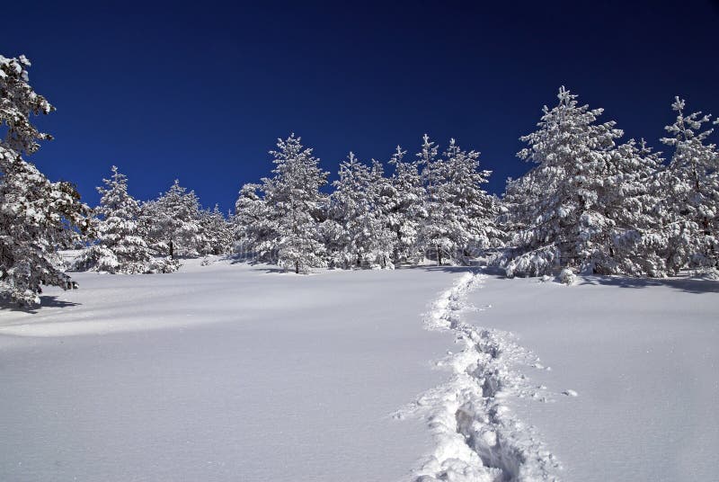 Winter Path stock image. Image of path, rural, loneliness - 7176265