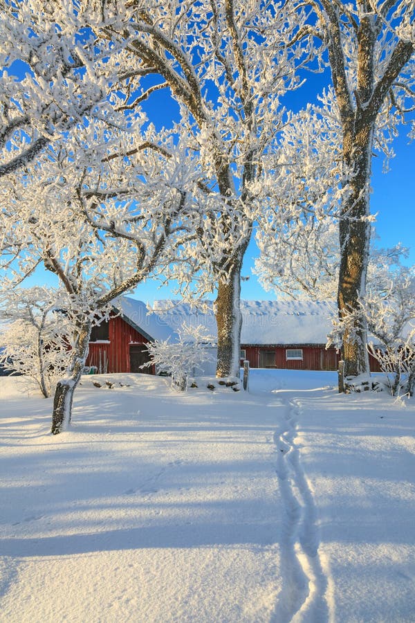 Winter Path through the Garden Stock Image - Image of frosty, building ...