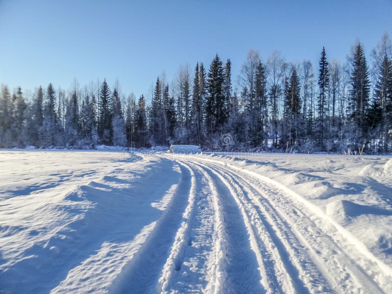 Path stock image. Image of path, finland, nature, jogging - 73054873