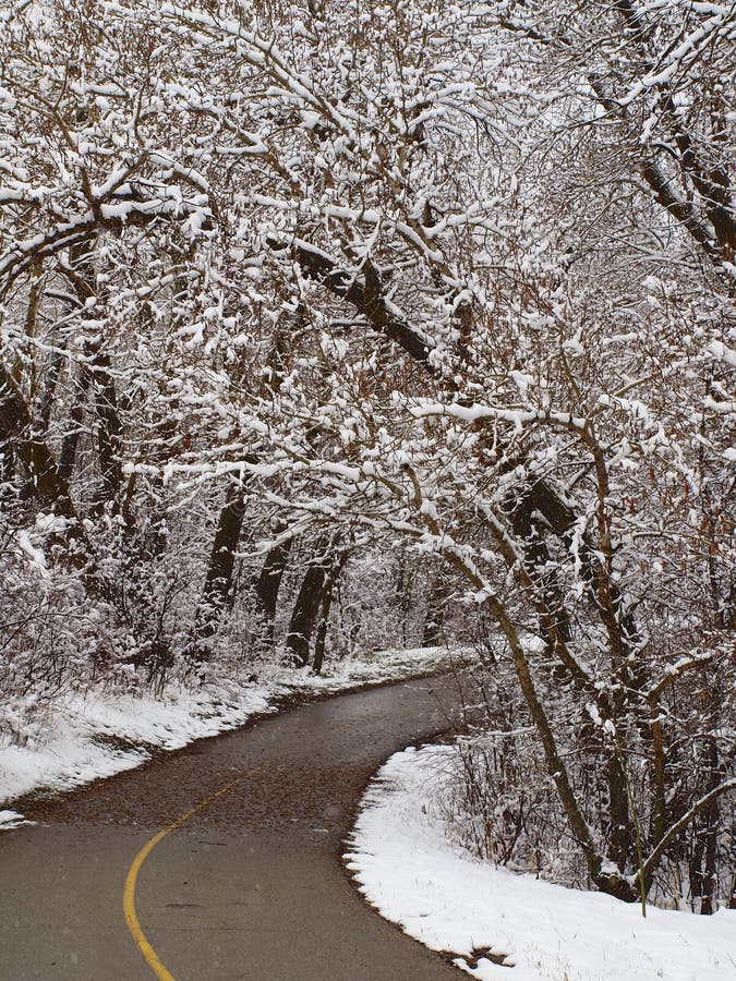 Winter Path stock image. Image of path, pathway, covered - 44846525