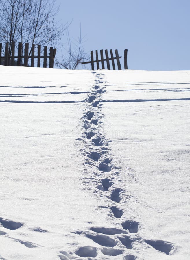 Footsteps in the Snow in the Mountains Stock Image - Image of lost ...