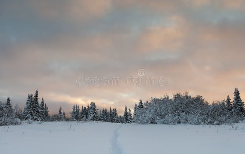 Winter Path at Sunset stock photo. Image of evening, nature - 29116102