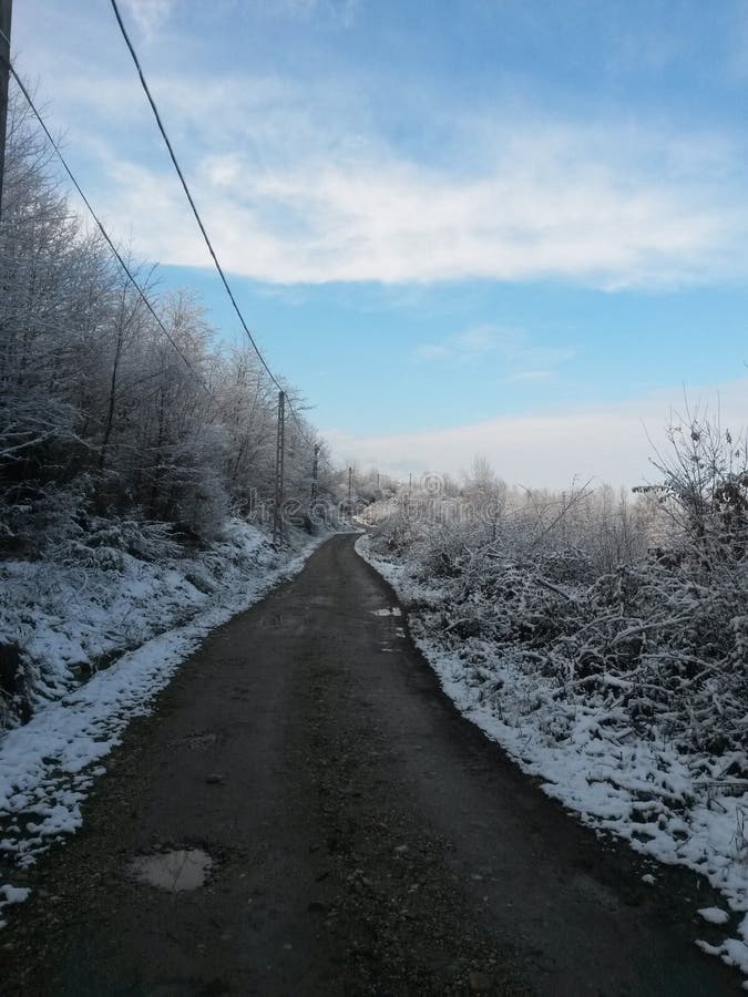 Winter Path Trough the Snowy Forest on Cold Time Stock Image - Image of ...