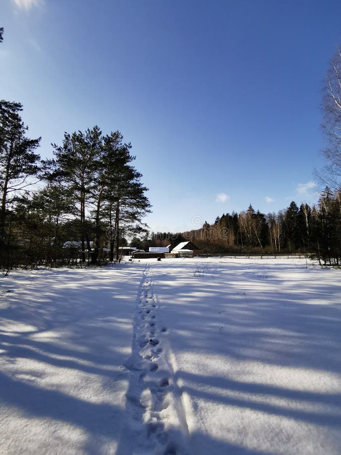 Winter path in the village stock image. Image of village - 223018897
