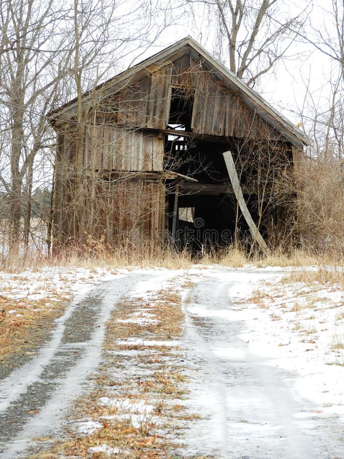 Collapsing Wood Barn in NYS Winter Country Woods Stock Image - Image of ...