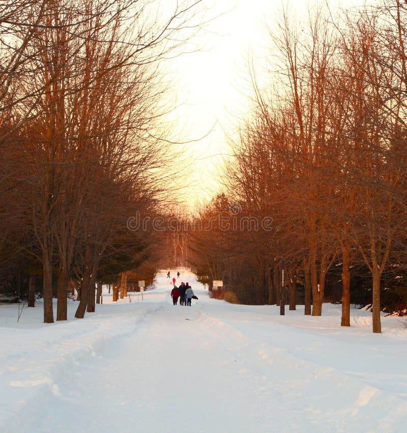 Winter Pathway stock image. Image of fall, concept, farm - 3883889