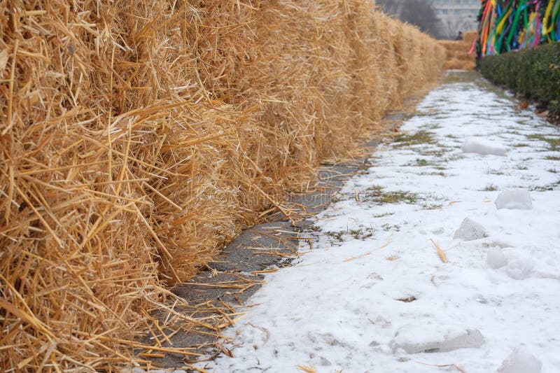 Winter Pathway Lined with Straw Bales and a Touch of Snow Stock Image ...