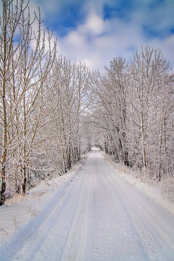 Pathway on Snowy Yard in Front of Apartments with Porches and Gabled ...