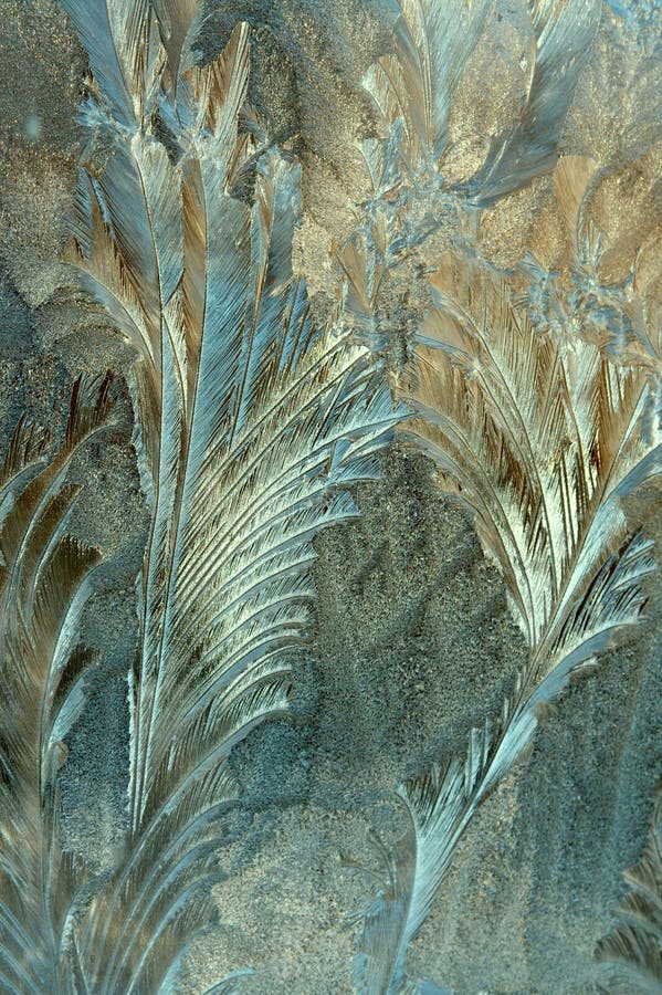 Winter patterns stock photo. Image of prompt, pattern - 1984676