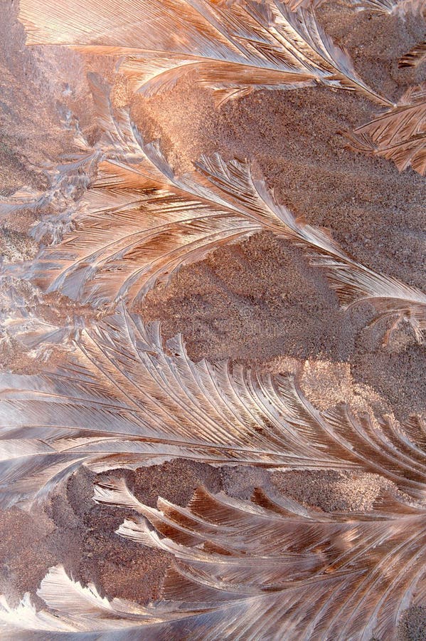 Winter patterns stock image. Image of pattern, frost, nature - 1984687