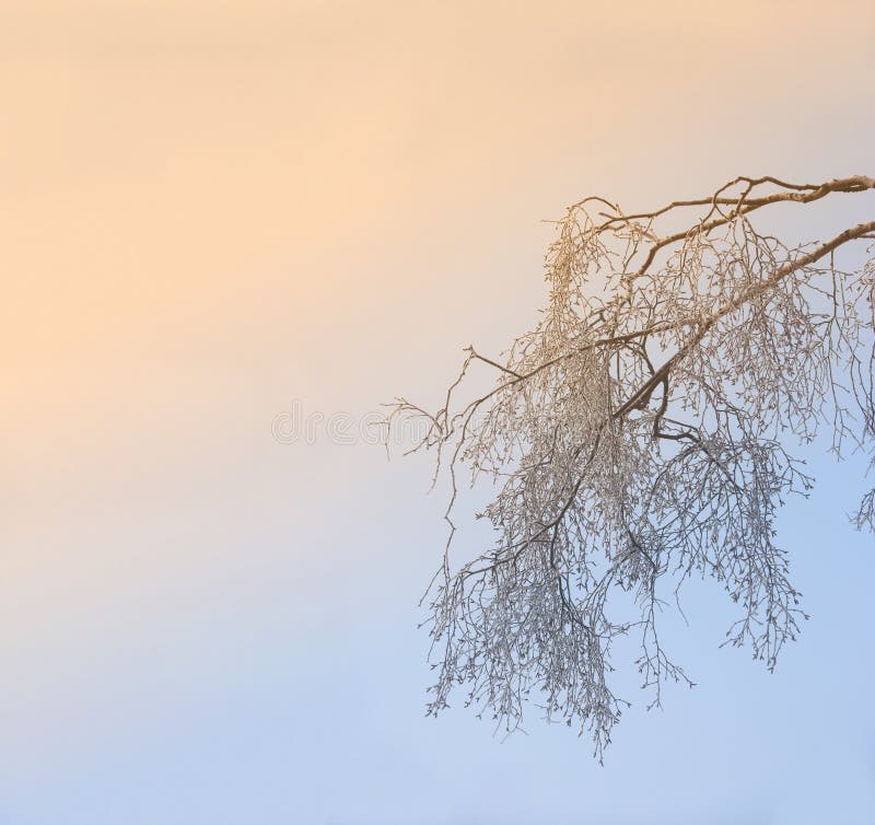 Winter peace stock image. Image of nature, mist, crisp - 2714135