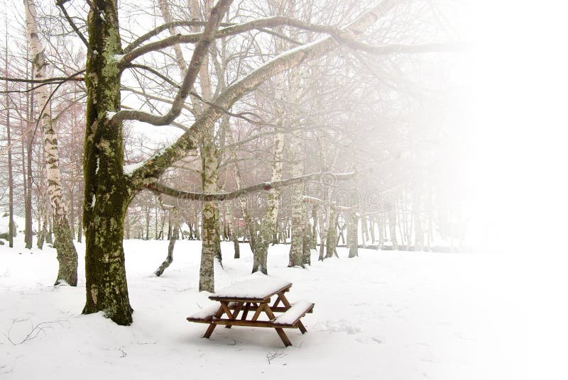 Winter Picnic stock photo. Image of outside, outdoors - 16612106