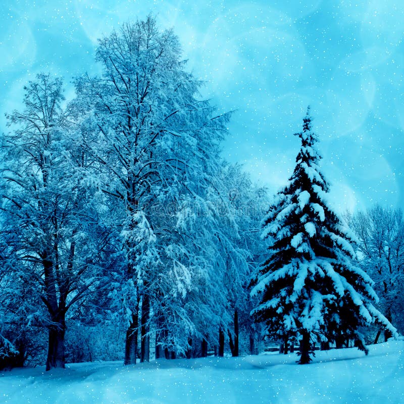 Winter picture stock photo. Image of snow, beauty, heavens - 34891368