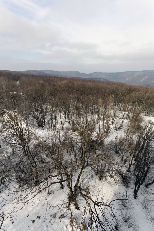 Winter in the Pilis stock photo. Image of hill, hungary - 139123344