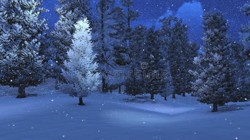 Winter Pinewood At Snowfall Night Stock Photo - Image of pine, nature ...