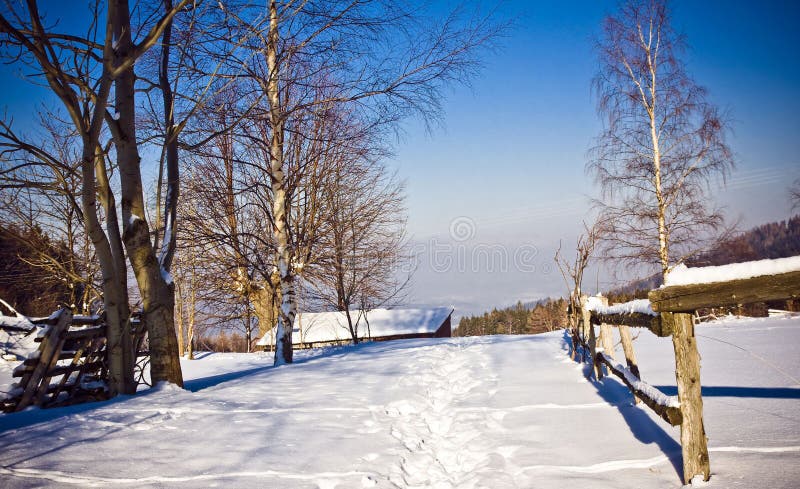 Winter in Poland stock photo. Image of blue, nordic, cold - 48530308