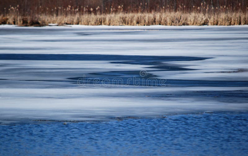 Winter Pond stock image. Image of water, reeds, frozen - 64579715