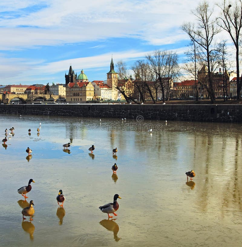 Winter view, Torun stock photo. Image of historic, floe - 13274038