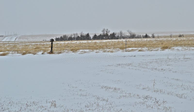 Winter on the Prairie stock photo. Image of wire, tree - 49932754