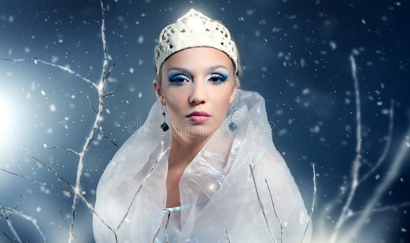 Ice queen stock photo. Image of glamorous, concept, dream - 18095006