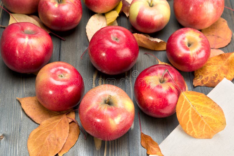 Winter Red Apples on a Wooden Table Stock Image - Image of agriculture ...