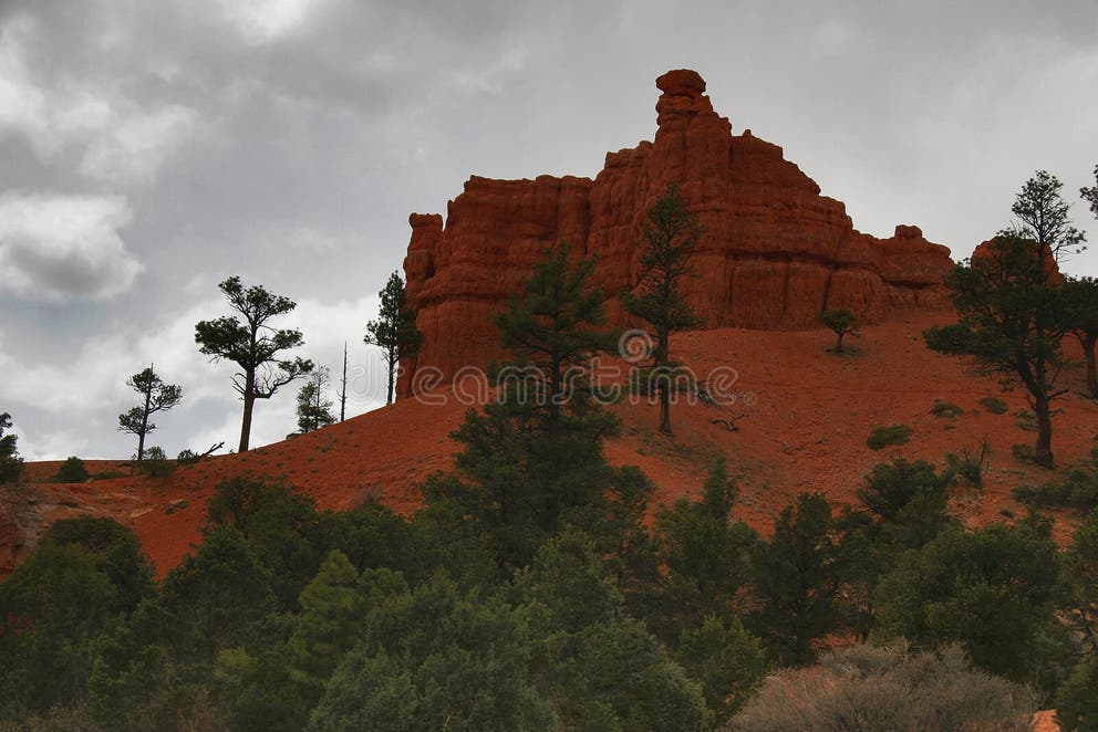 Winter in Red Rocks canyon stock photo. Image of america - 5958462