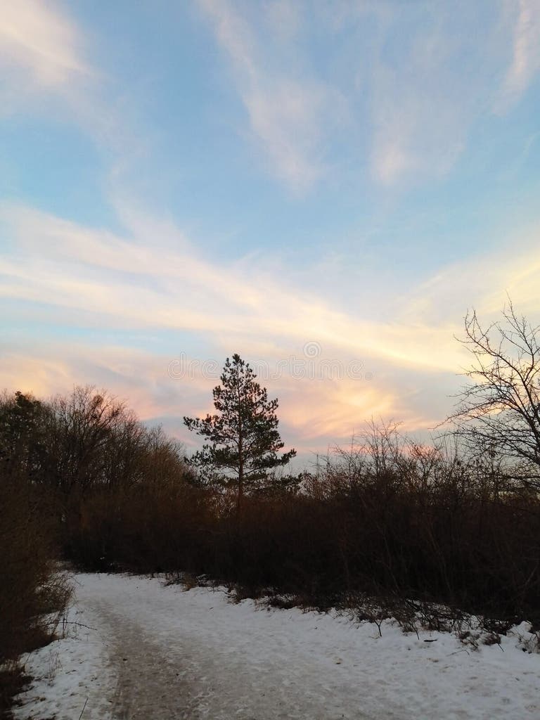 160 Winter Sunset Forest Path Snowy Landscape Red Sky Stock Photos ...