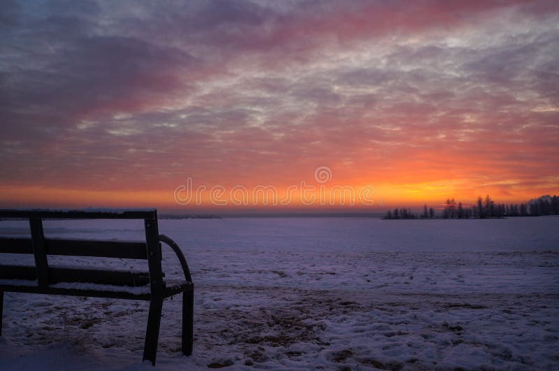 The Red Color of the Sunset. Winter Red Sunset. Bench at Sunset. Stock ...