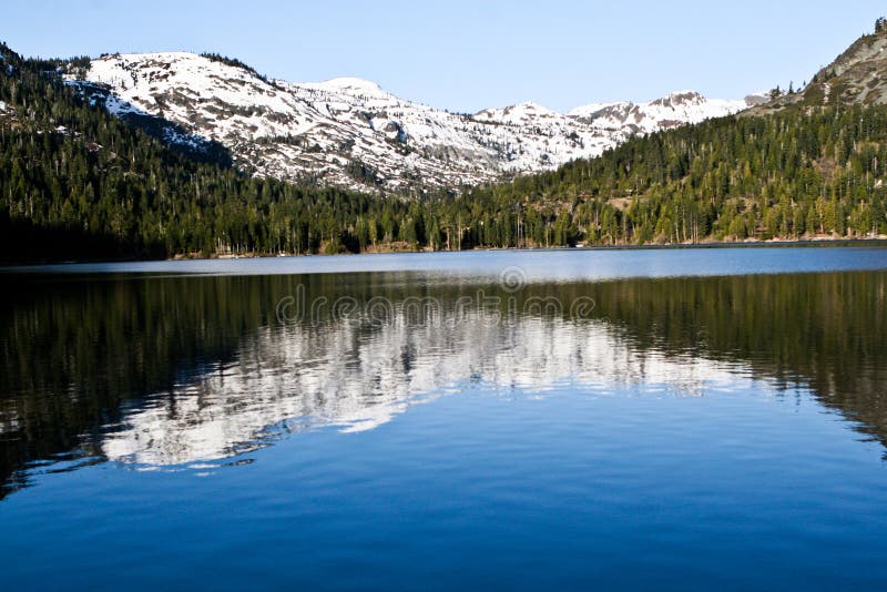 Winter Reflection stock photo. Image of cold, countryside - 29547986