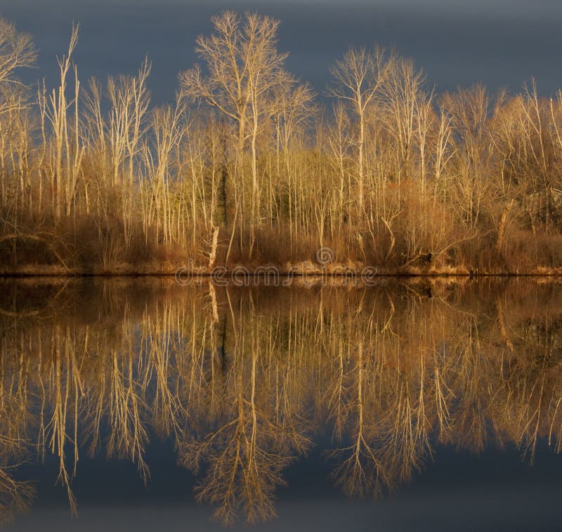 Winter Reflection stock image. Image of winter, light - 48366959