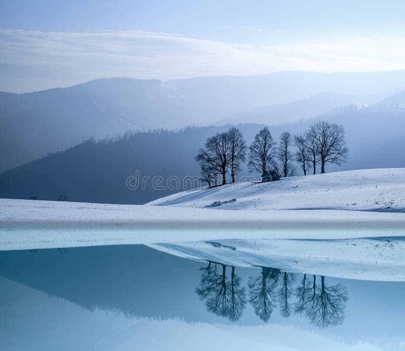 Winter Reflection in the Lake Stock Photo - Image of blue, outdoor ...