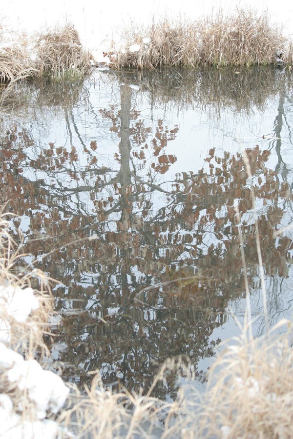 Winter Reflection stock image. Image of chill, nature - 37478419