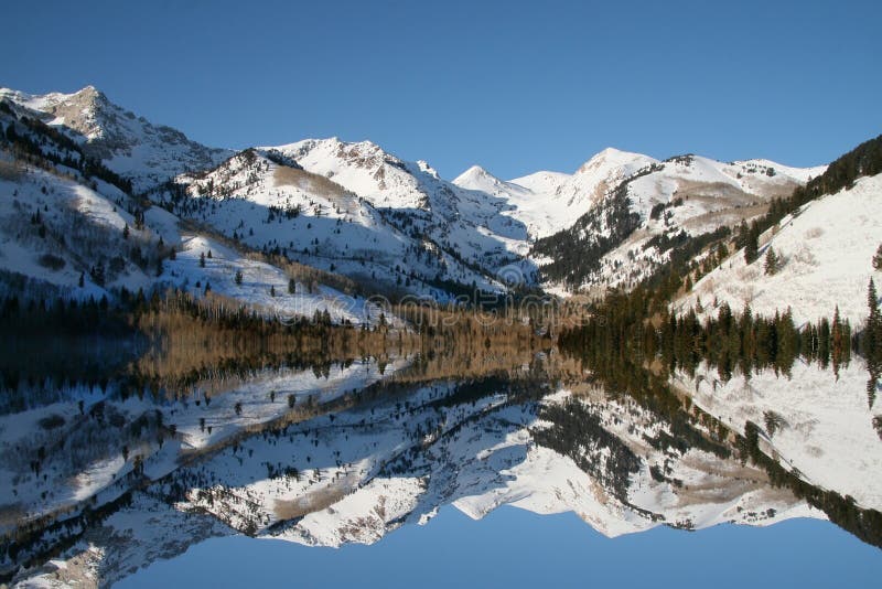 WInter Reflections stock image. Image of snow, beauty - 7679637