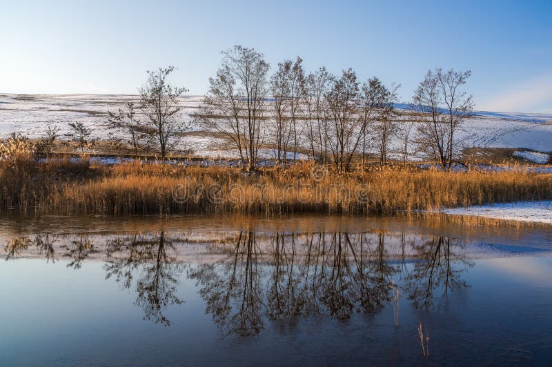 Winter reflections stock image. Image of wetland, wilderness - 365931181