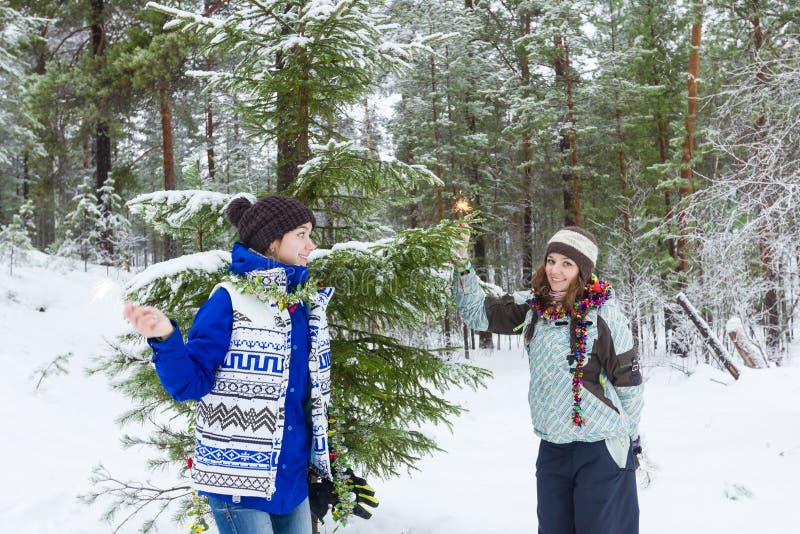 Winter rest stock image. Image of beautiful, leisure - 71540429