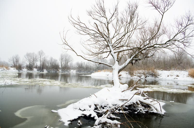 Winter river stock photo. Image of december, current - 29609148