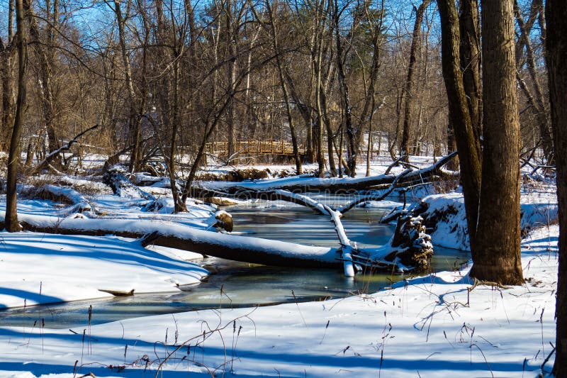 Winter River in a Forest in Windsor, Connecticut Stock Photo - Image of ...