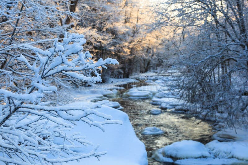 Winter river landscape stock image. Image of nordic, calm - 60928263