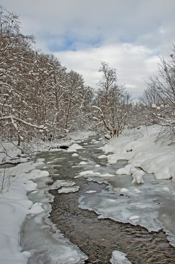 Winter River Landscape with Snow-covered Trees on a Cloudy Day Stock ...