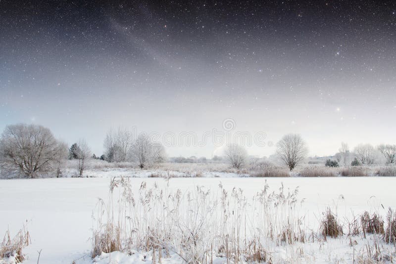 Winter river at night. stock image. Image of branch, christmas - 38391911