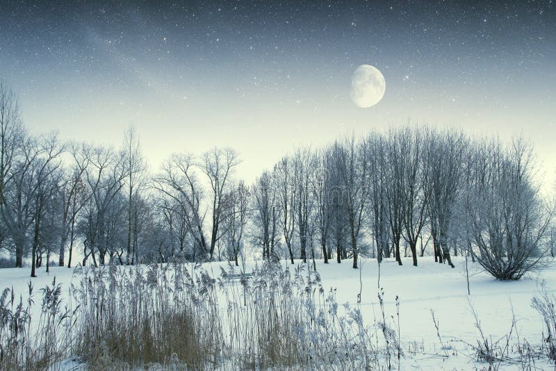 Winter river at night. stock image. Image of frosty, bright - 38392311