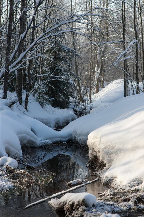 Winter river stock photo. Image of woods, nature, color - 49324006